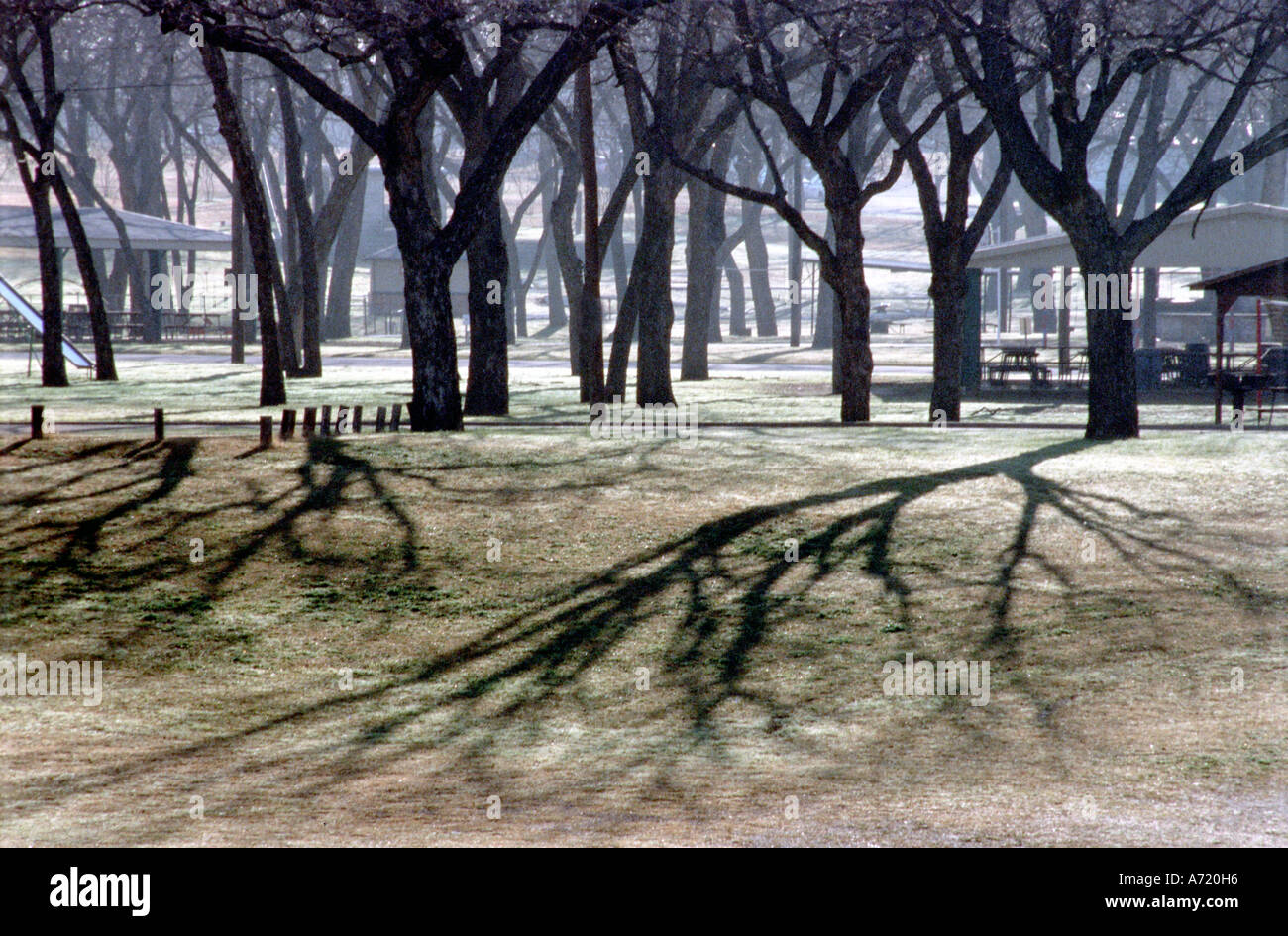 Mist shadows hi-res stock photography and images - Alamy