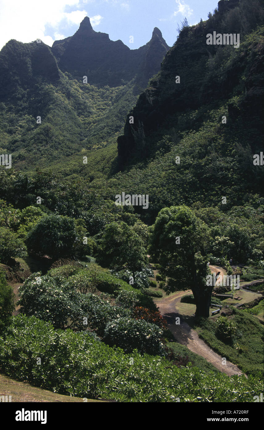 Limahuli botanical gardens hi-res stock photography and images - Alamy