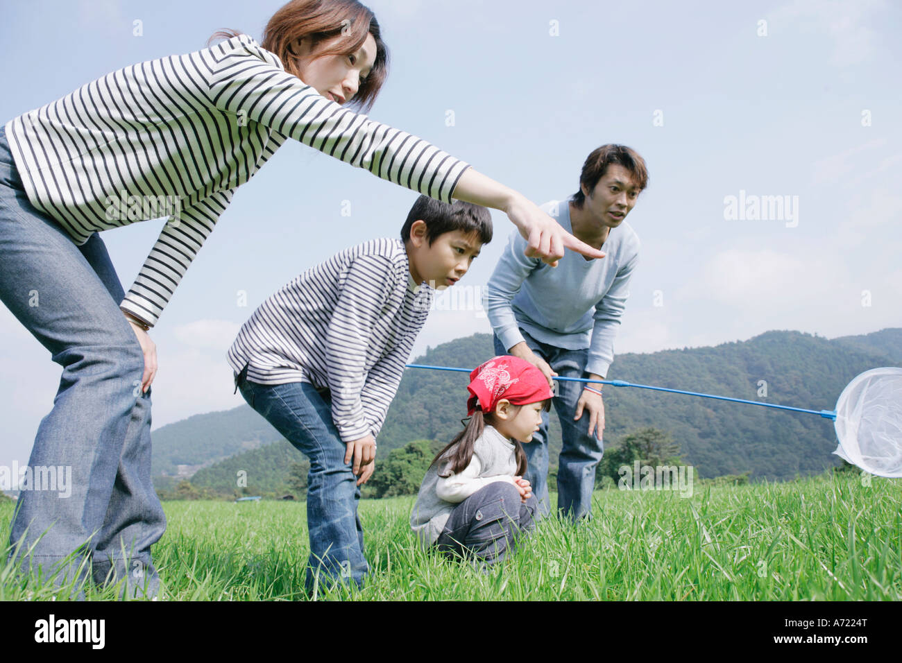 Family catching insects in hi-res stock photography and images - Alamy