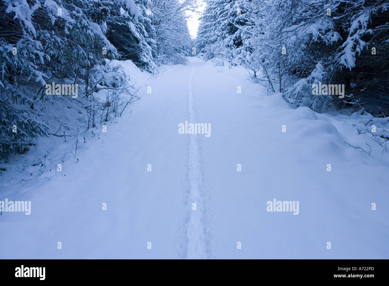 Path leading to infinity walk hi-res stock photography and images - Alamy