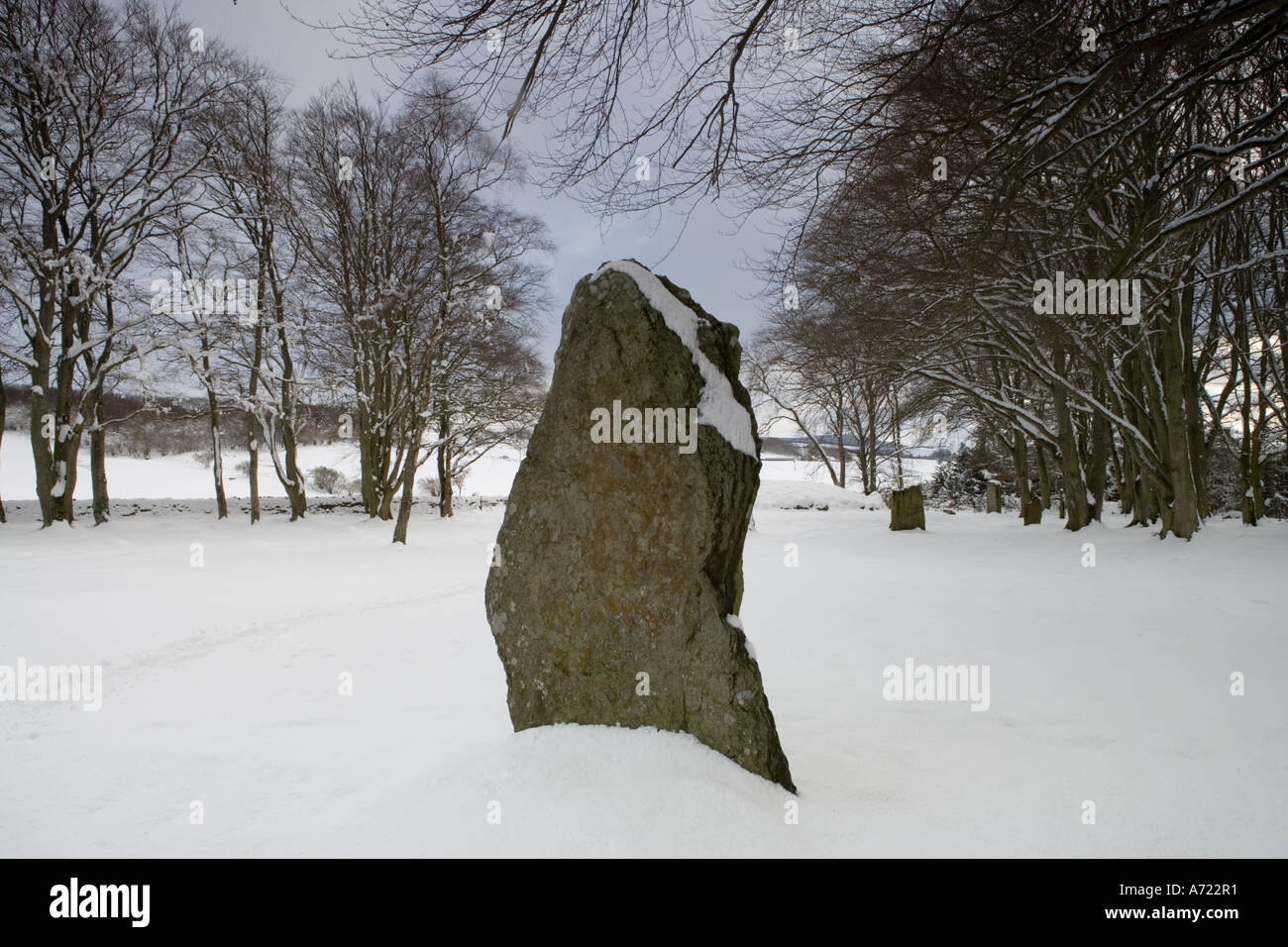 Standing stone in snow at Clava Cairns historic site near Culloden ...