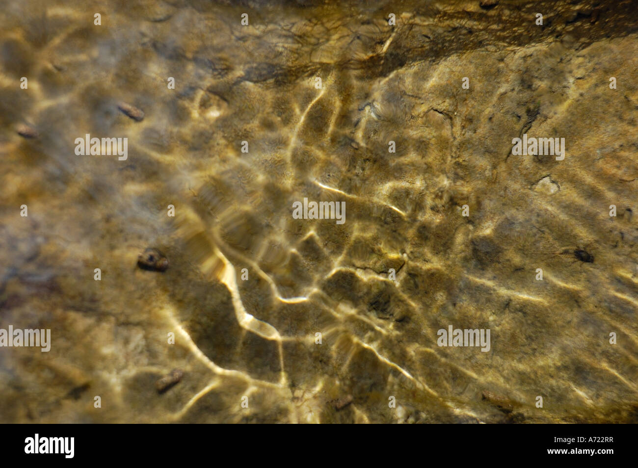 Light patterns in a crystal clear stream Stock Photo - Alamy