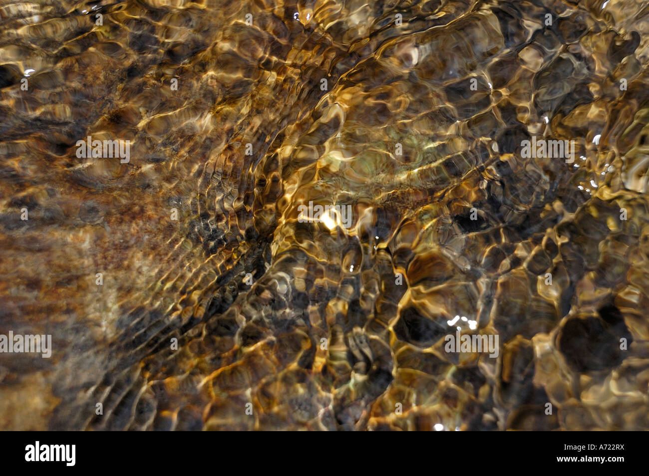 Light patterns in a crystal clear stream Stock Photo - Alamy