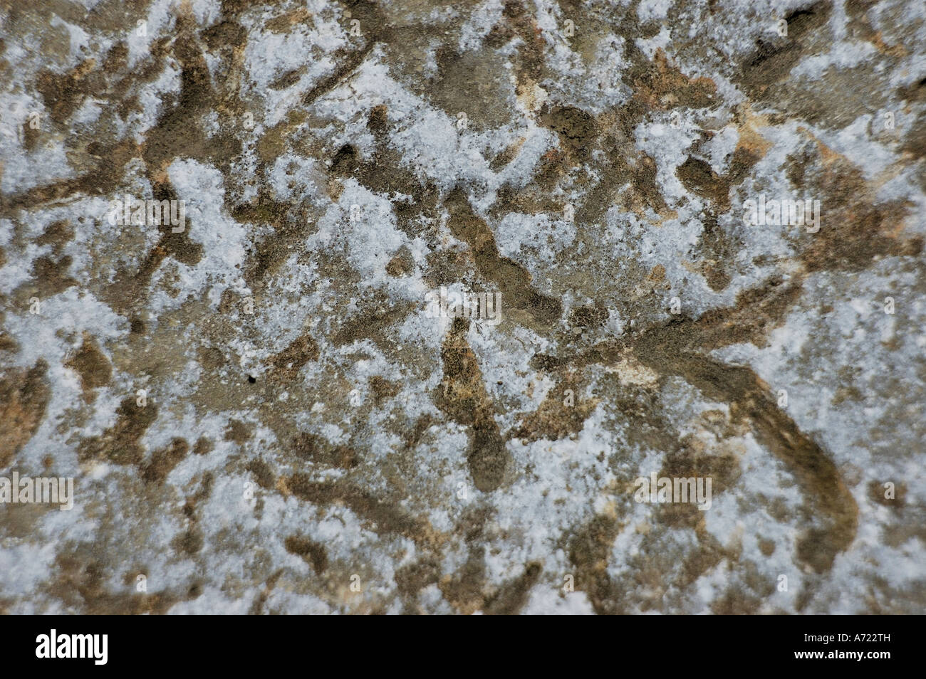 Texture and patterns in limestone Stock Photo - Alamy