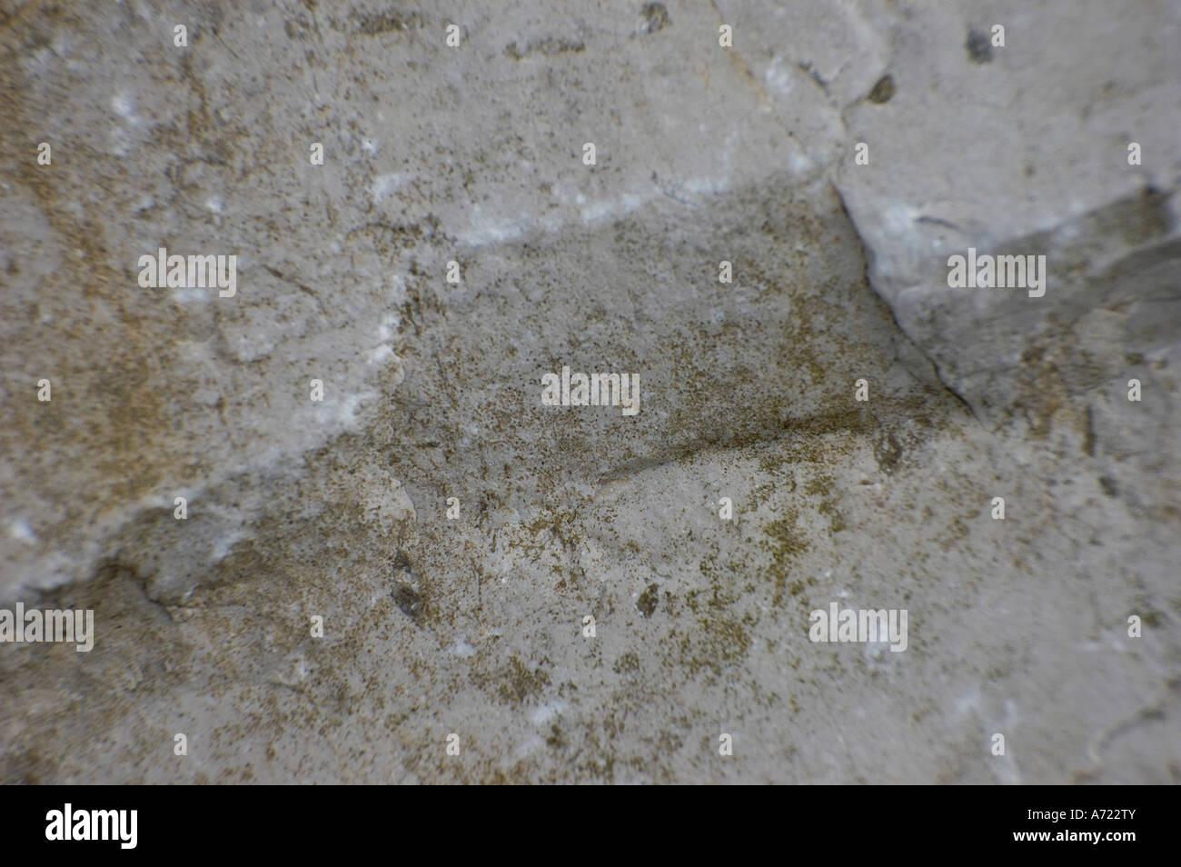 Texture and patterns in limestone Stock Photo - Alamy