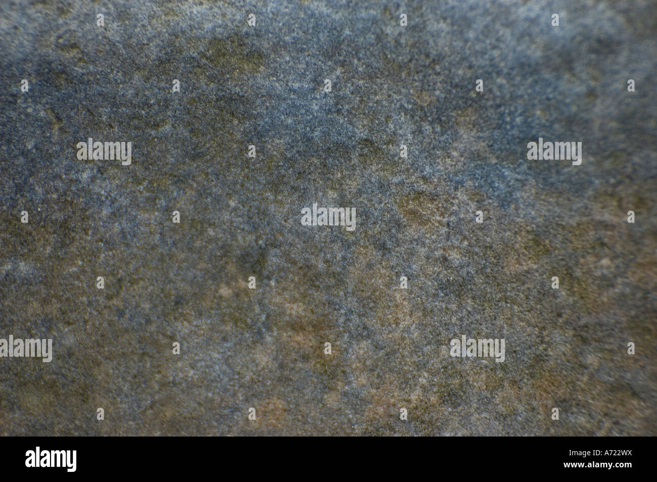 Texture and patterns in limestone Stock Photo - Alamy