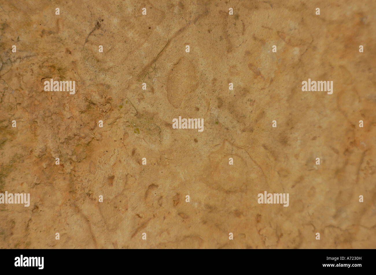 Texture and patterns in limestone Stock Photo - Alamy