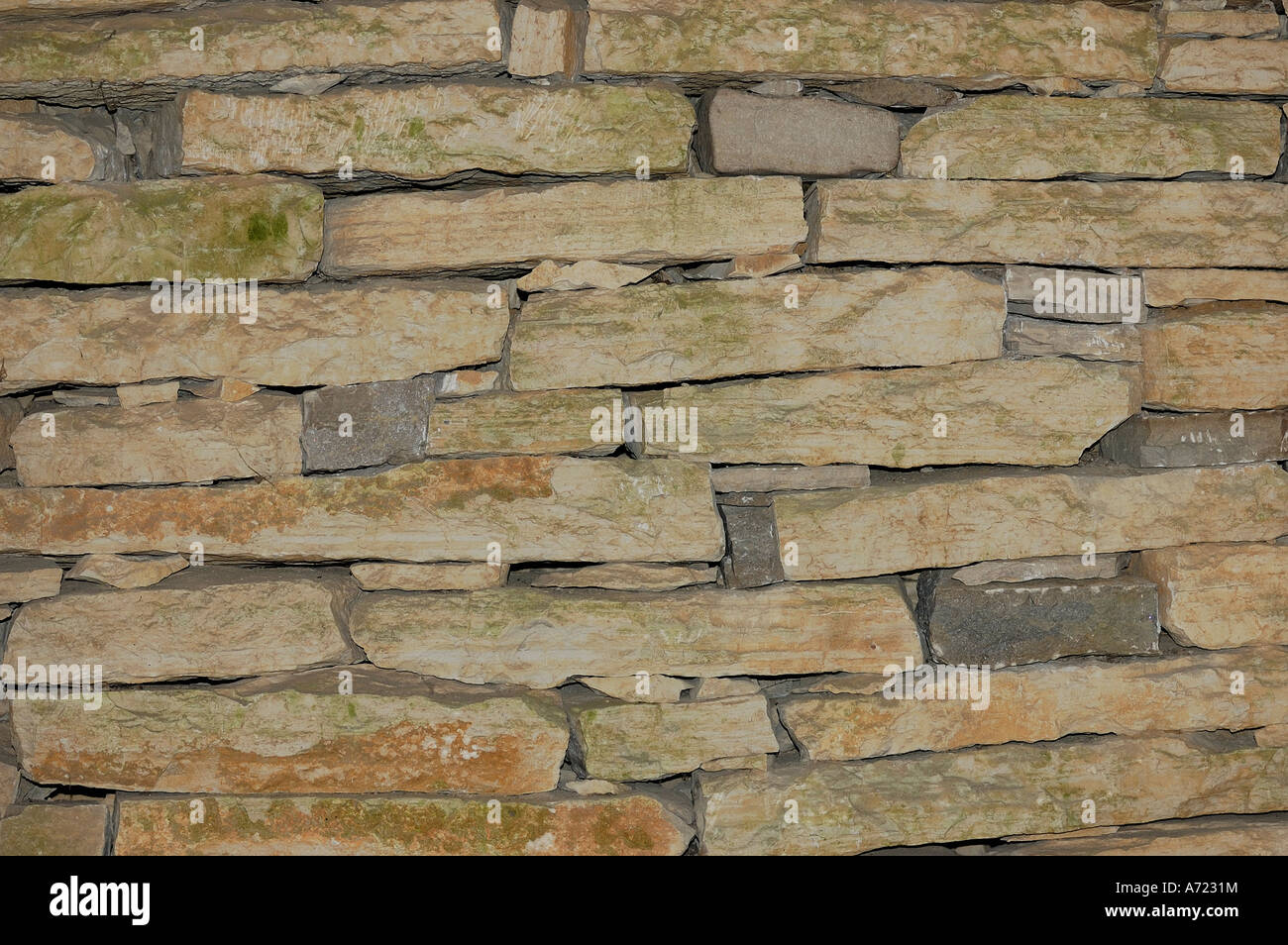 Texture and patterns in limestone Stock Photo - Alamy