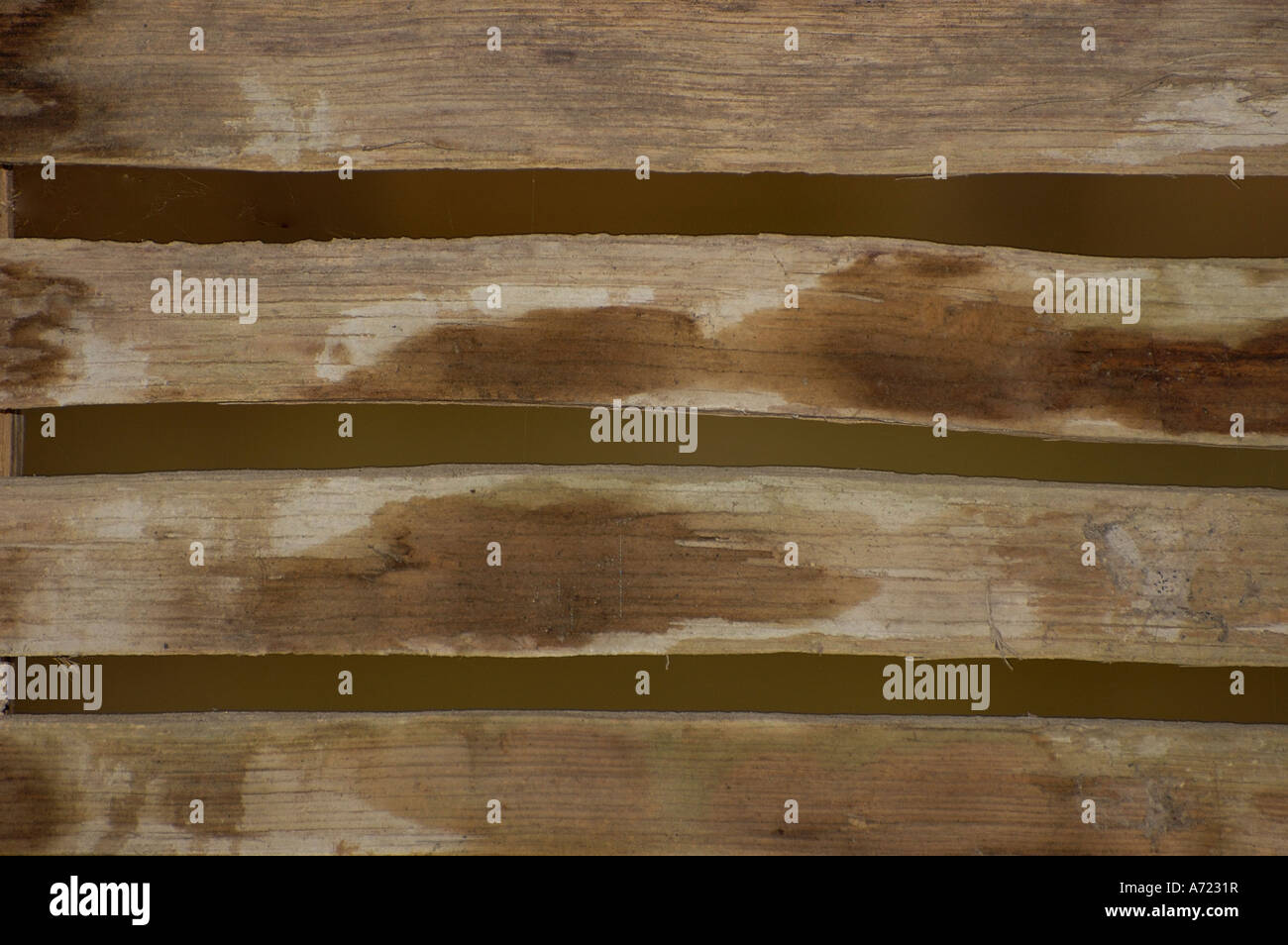 Texture and patterns in wood Stock Photo - Alamy