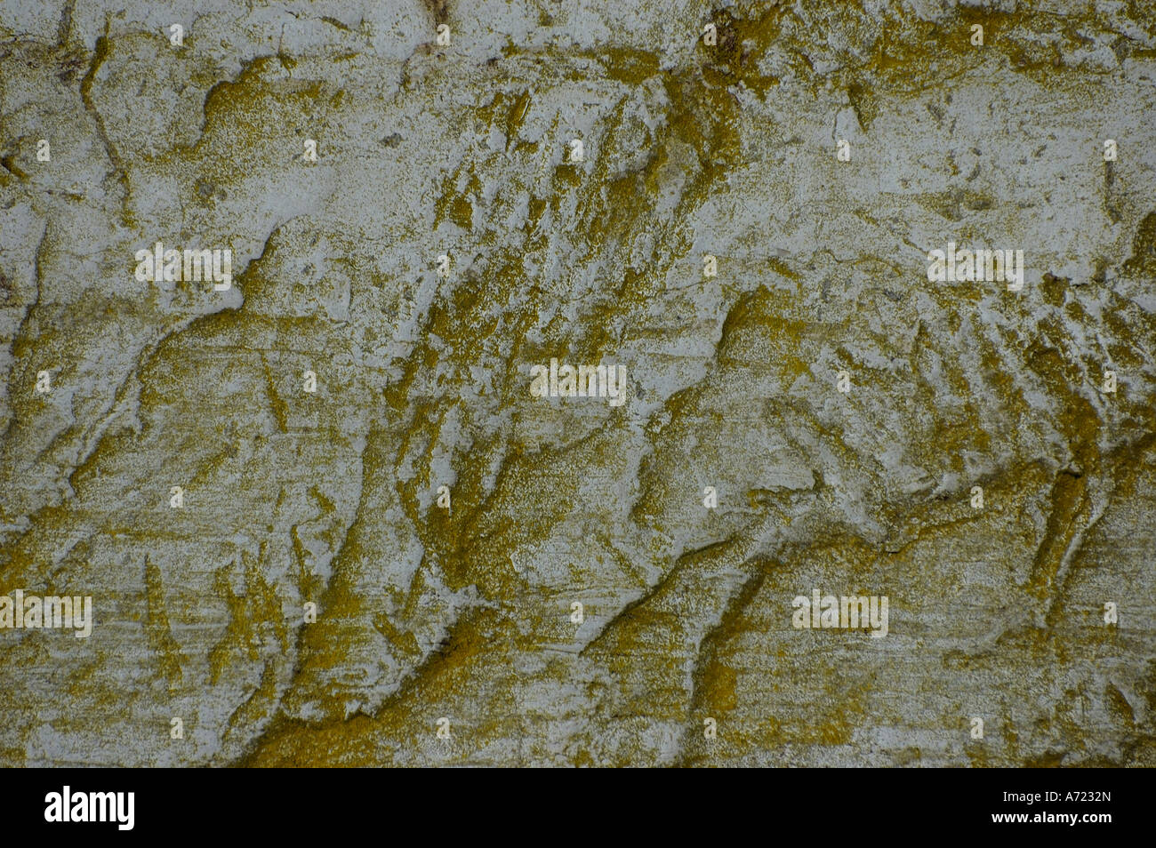 Texture and patterns in limestone Stock Photo - Alamy