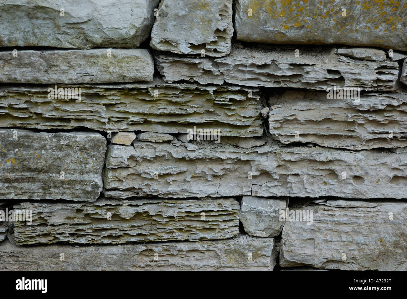Texture and patterns in limestone Stock Photo - Alamy
