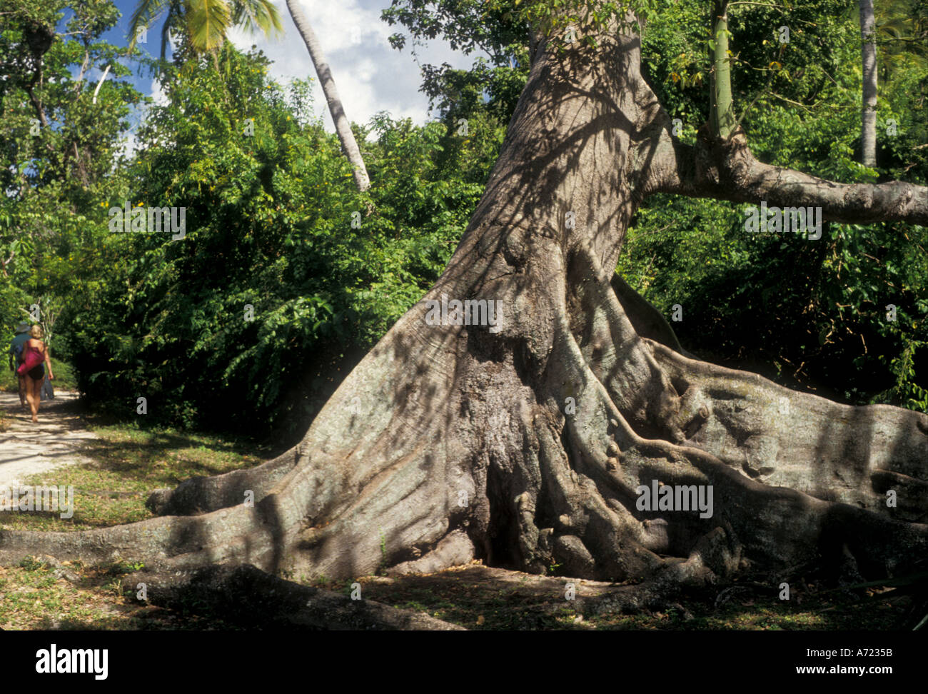 Virgin islands unincorporated territory hi-res stock photography and ...
