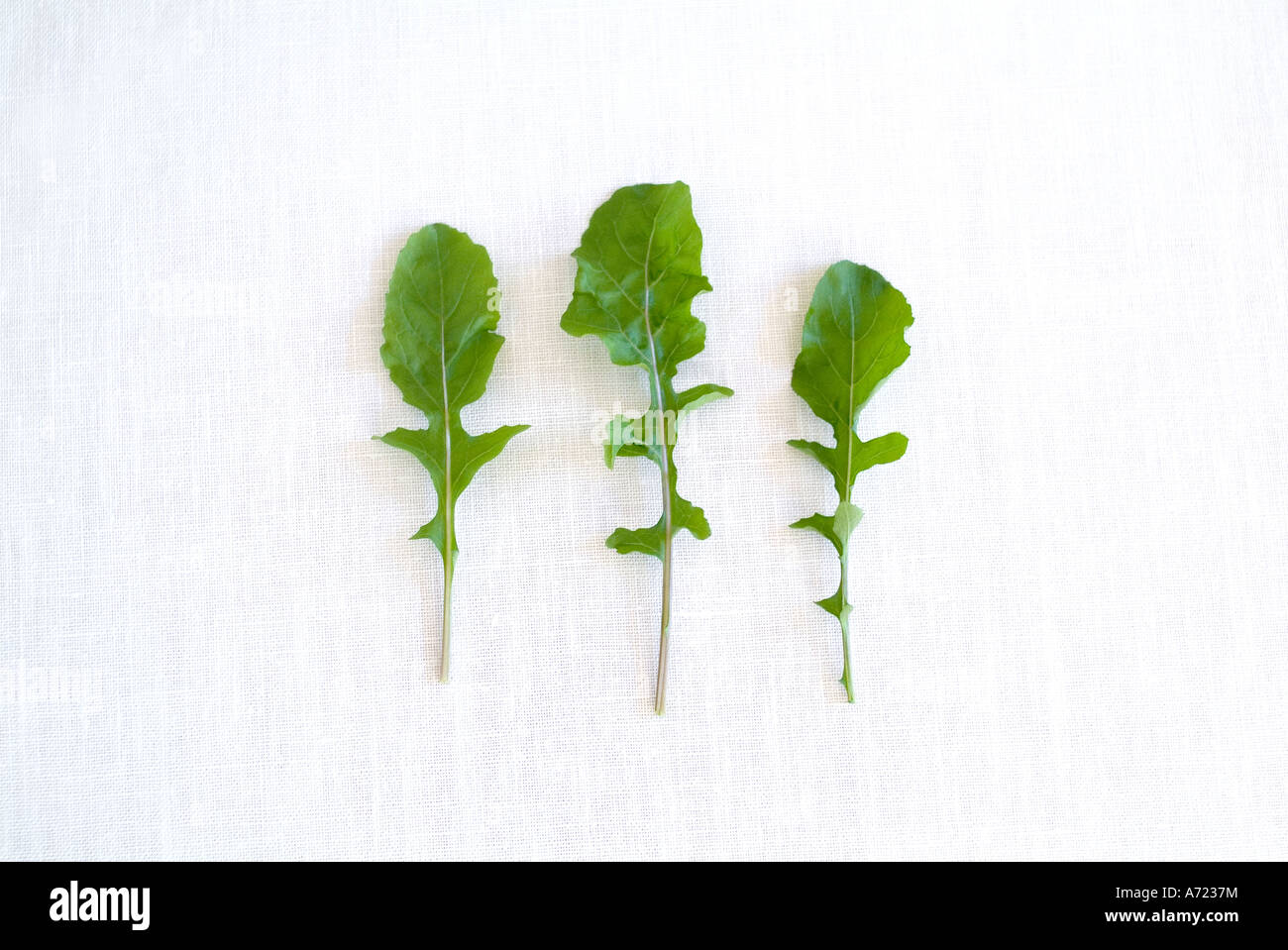 Rocket three hi-res stock photography and images - Alamy