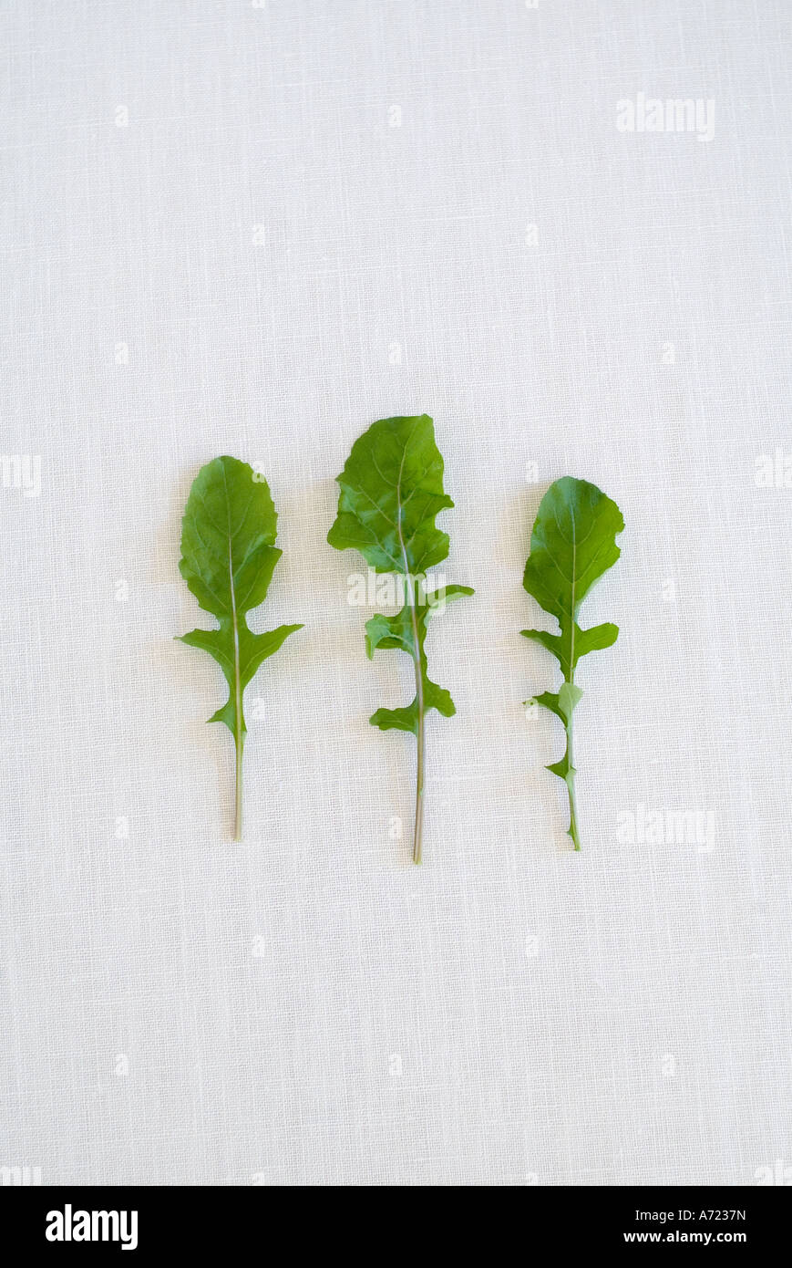 Rocket three hi-res stock photography and images - Alamy