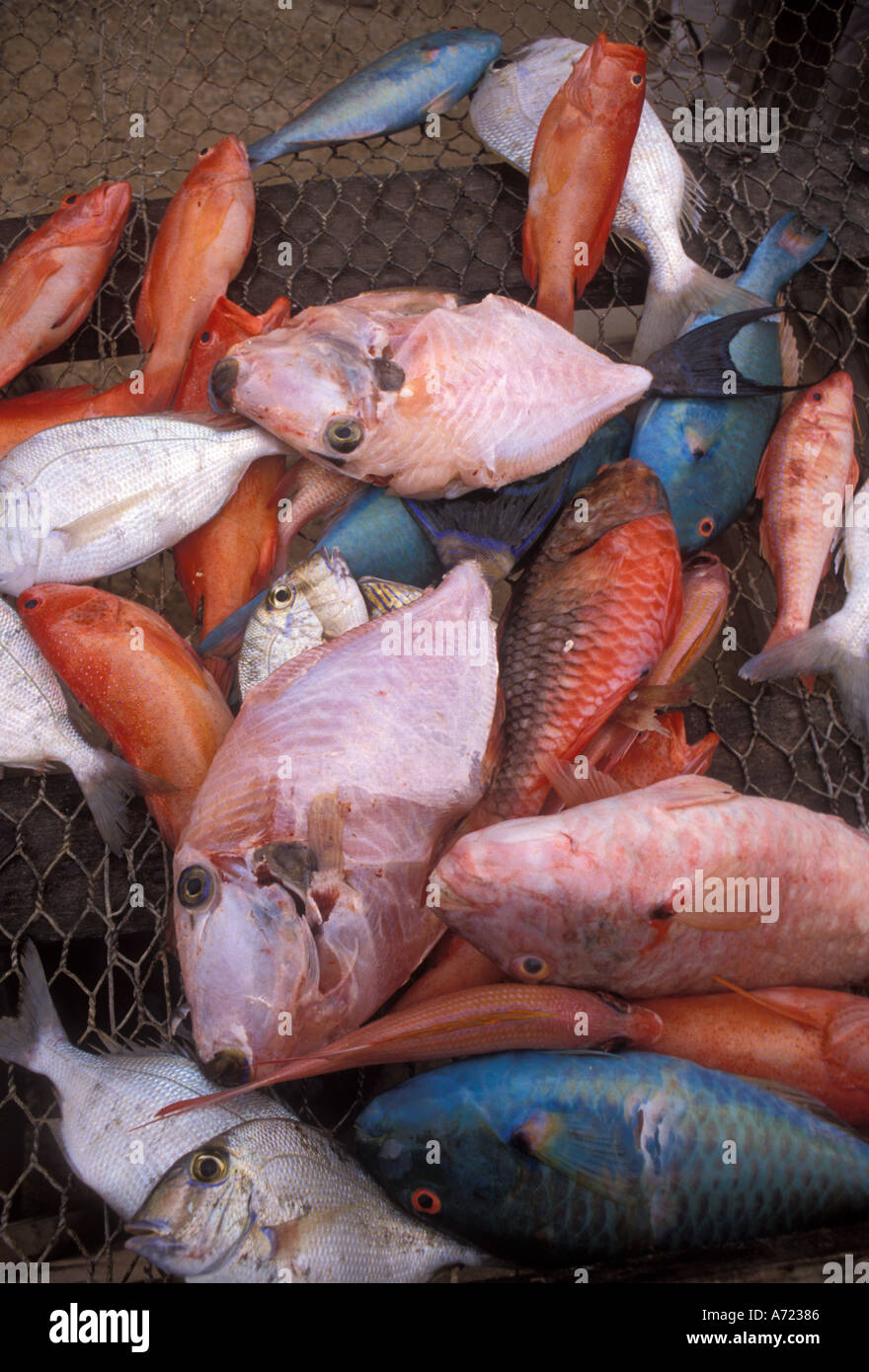Marigot market st martin hi-res stock photography and images - Alamy