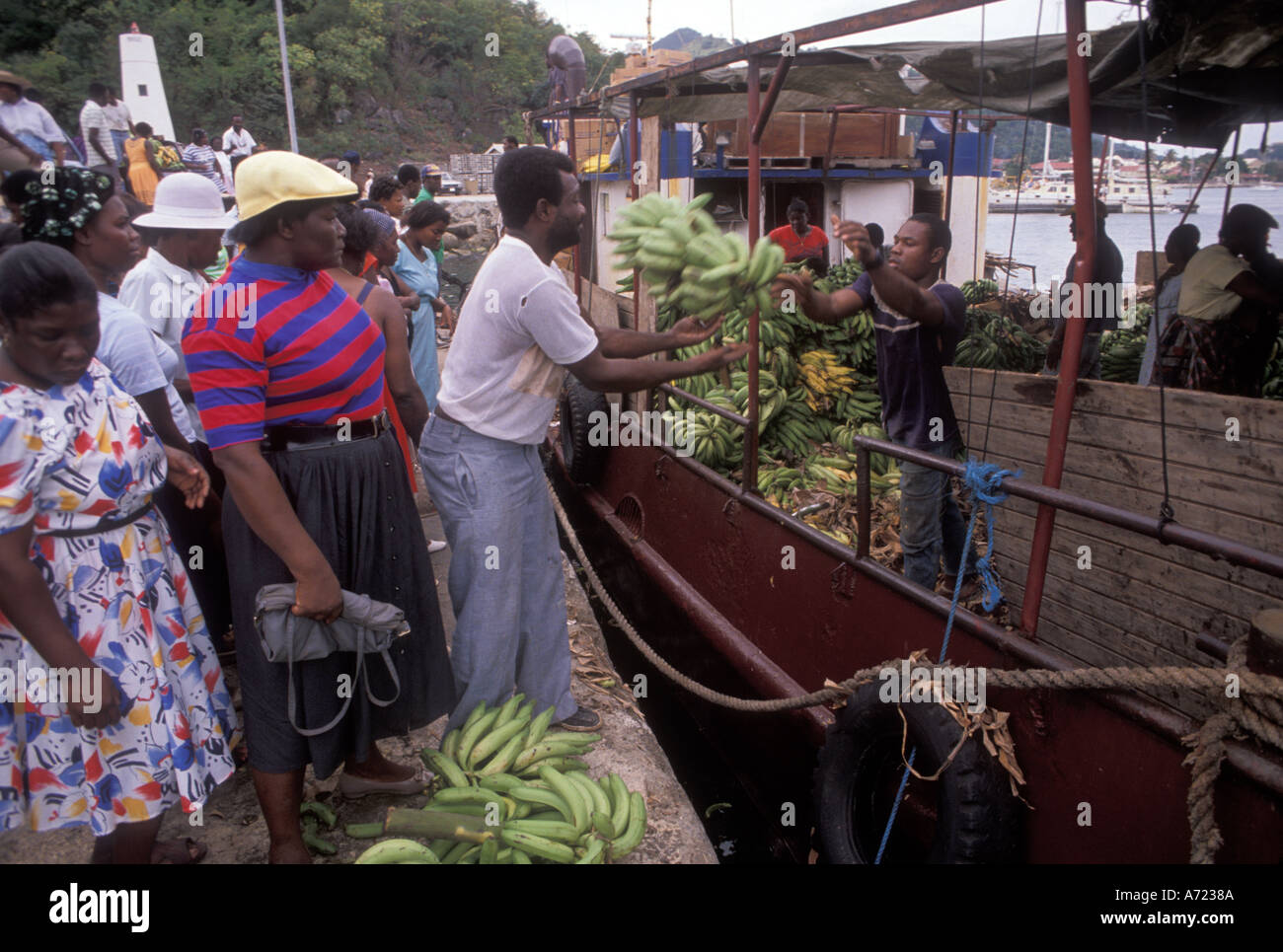 Marigots hi-res stock photography and images - Alamy