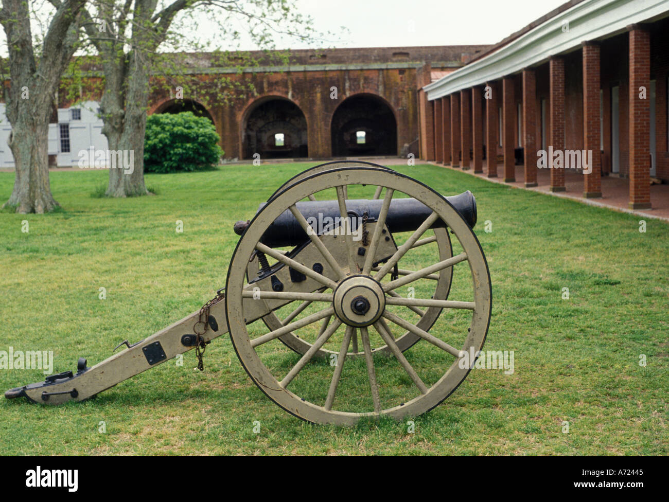 The battle of savannah hi-res stock photography and images - Alamy