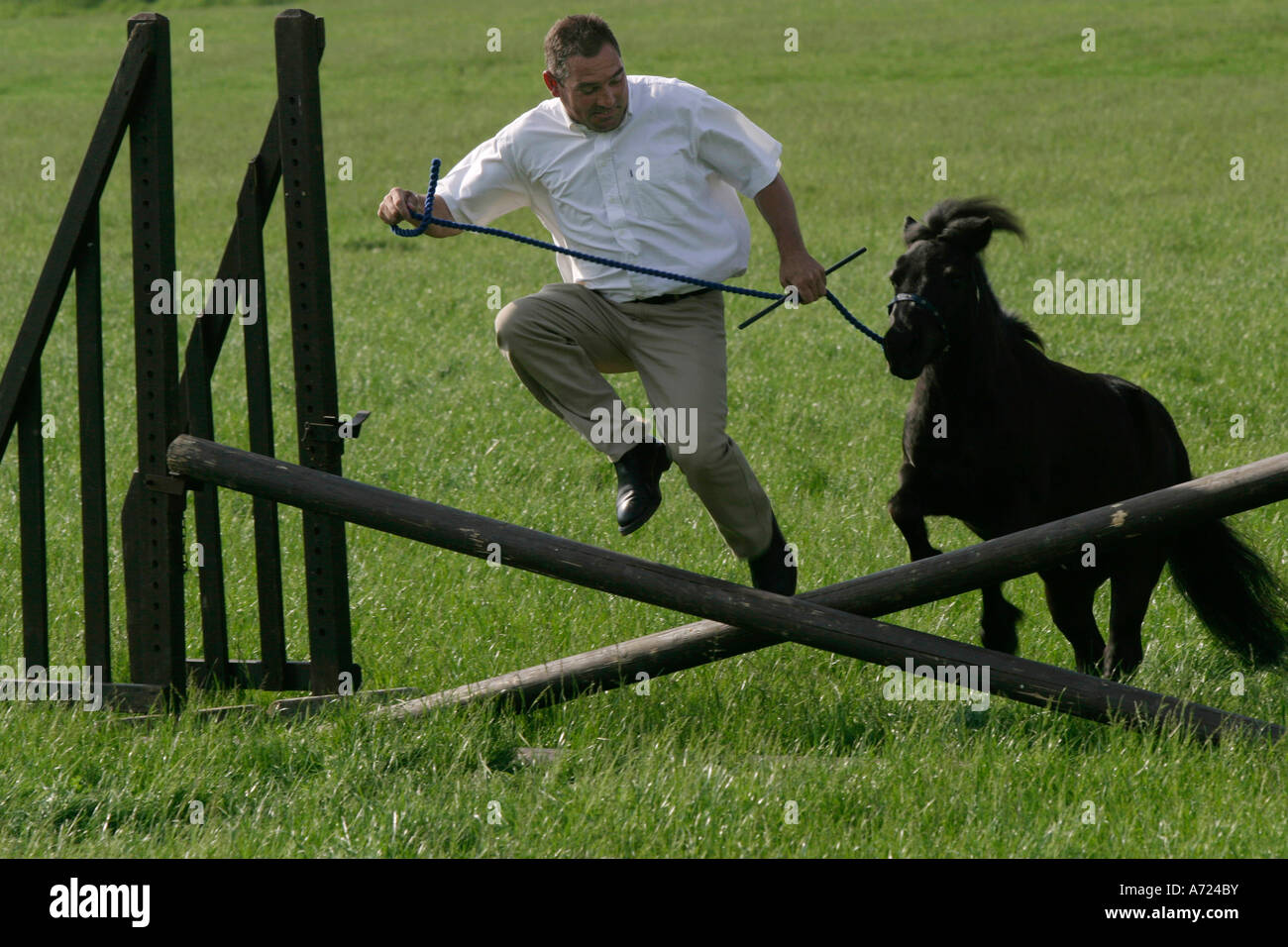 A man show jumping with his Shetland pony Stock Photo - Alamy