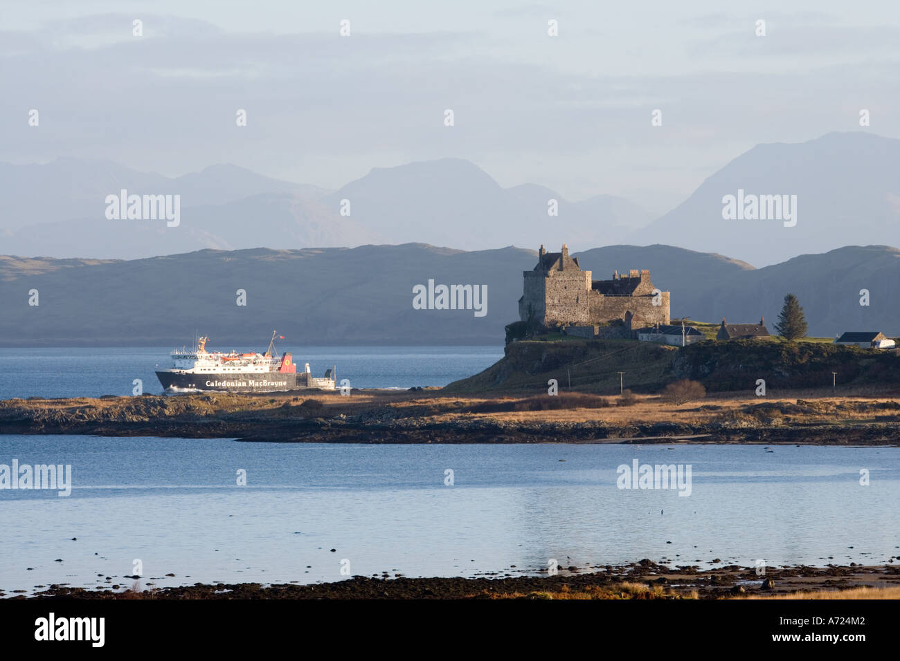 Duart Castle and CalMac ferry passing in pink light of a winter dawn ...