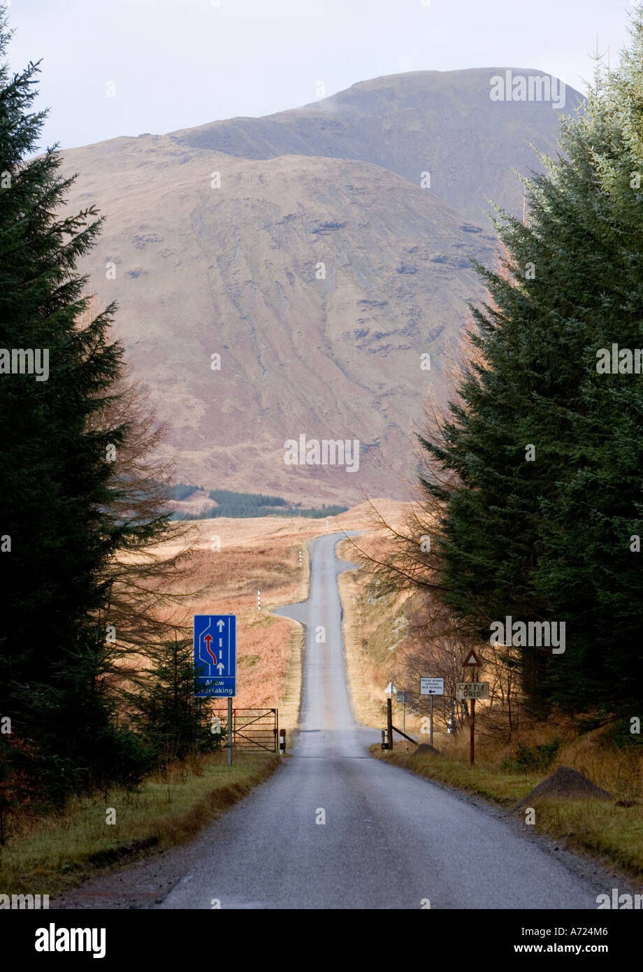 Isle of mull ecotourism hi-res stock photography and images - Alamy