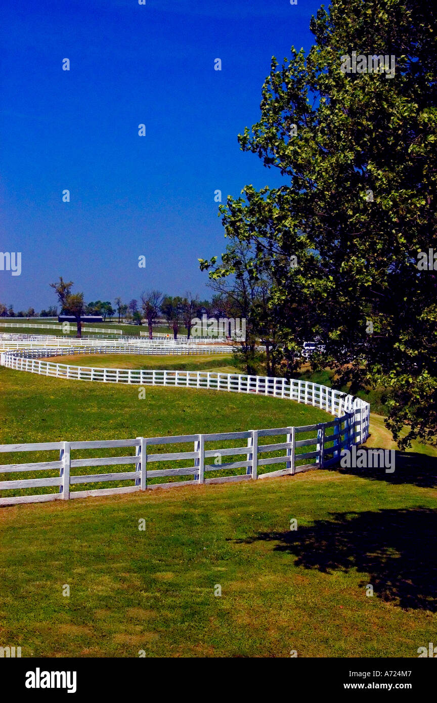 Lexington racehorse hi-res stock photography and images - Alamy