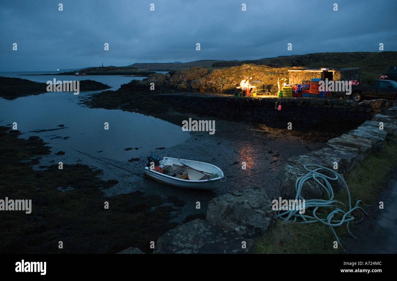 Mull Ecotourism High Resolution Stock Photography and Images - Alamy