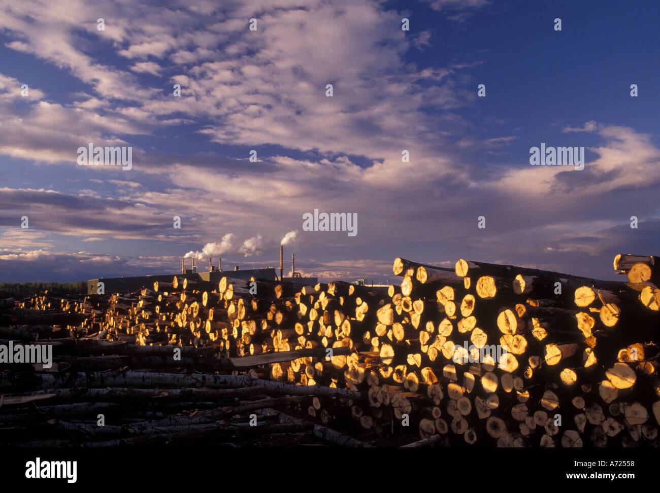 Logging in minnesota hi-res stock photography and images - Alamy