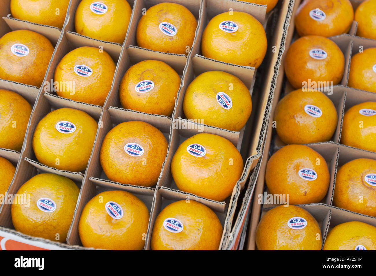 Yellow Thai tangerines packed in cardboard boxes. Royal Flora ...