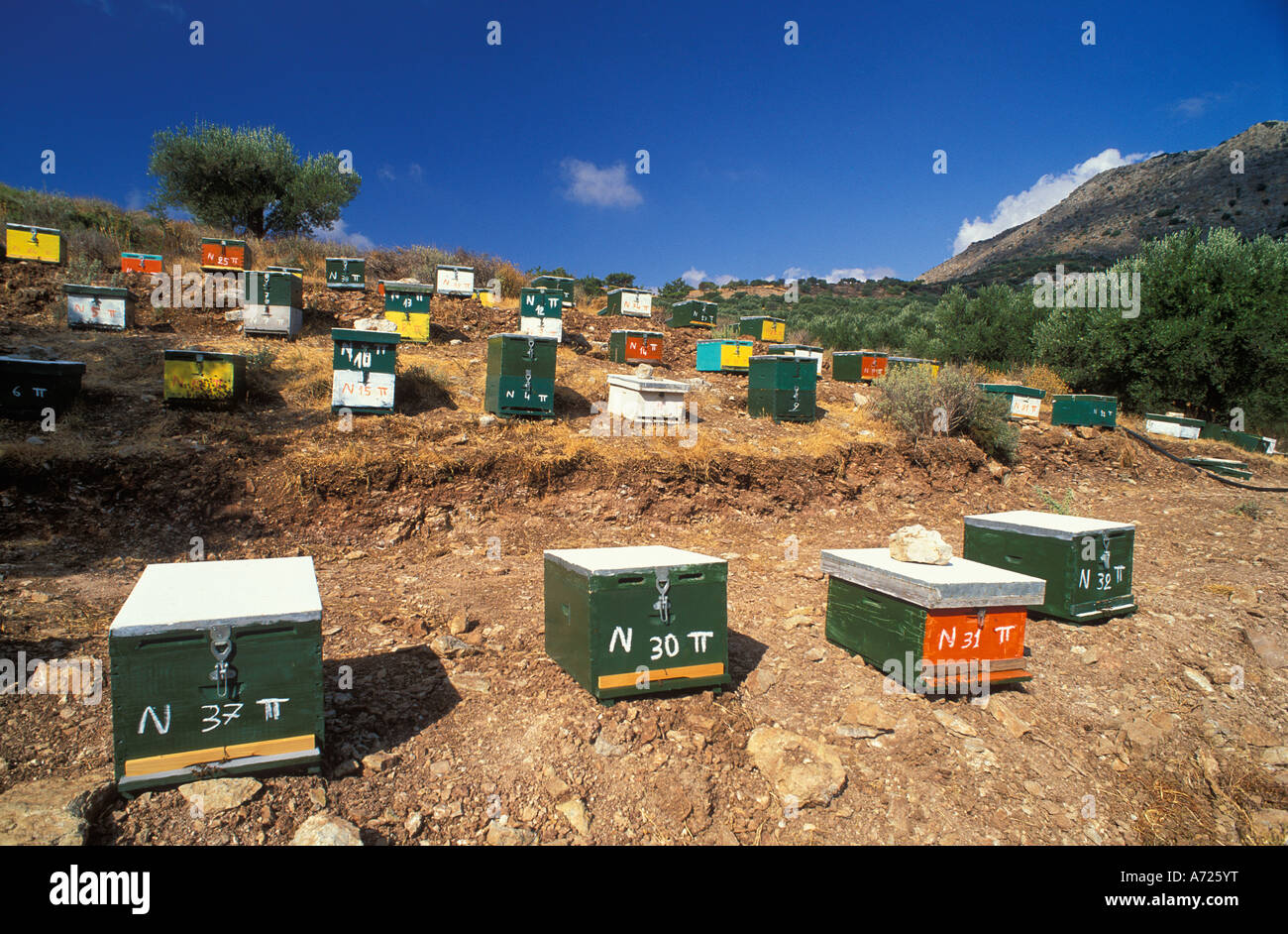 Crete honey beehive hi-res stock photography and images - Alamy