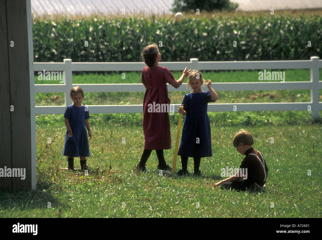 Amish children playing baseball hi-res stock photography and images - Alamy