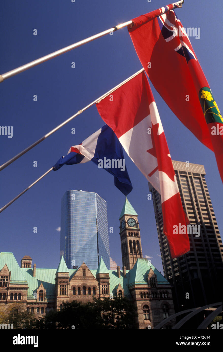Canada ontario toronto flags hi-res stock photography and images - Alamy