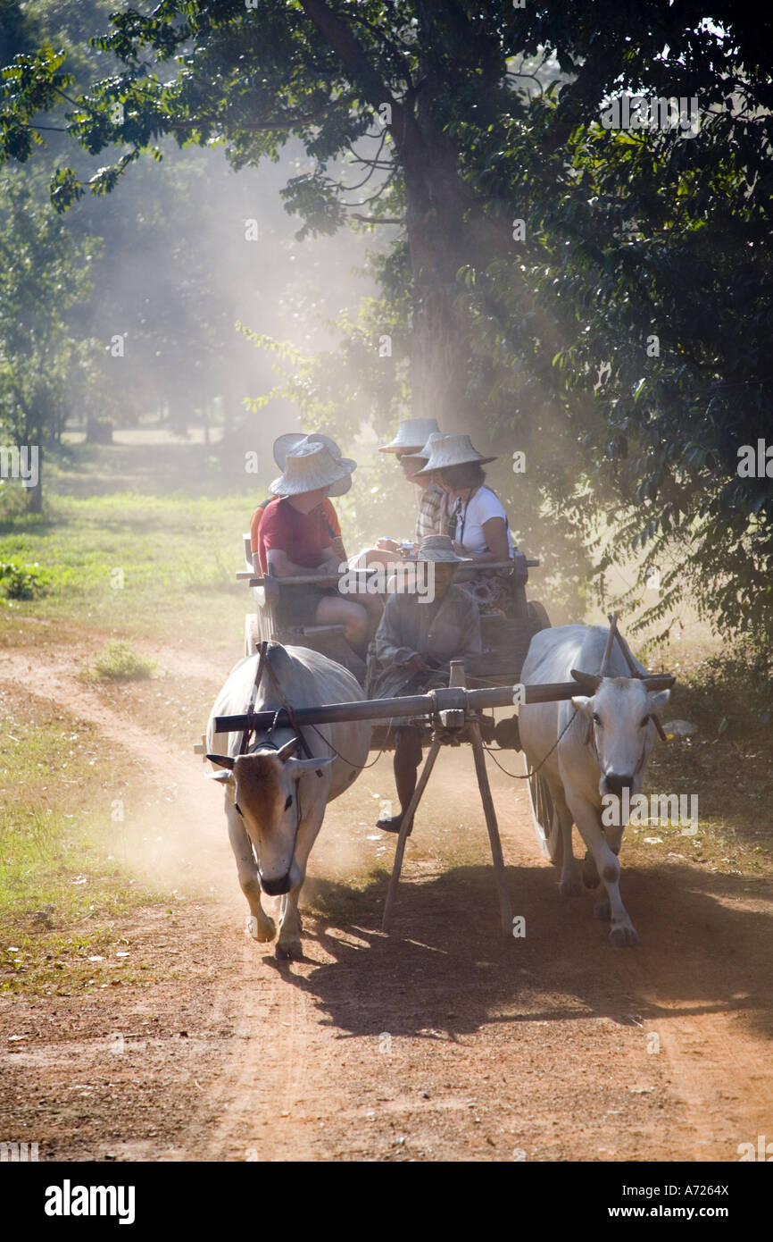 Riding a ox-cart in Sukhotai, Thailand Stock Photo - Alamy