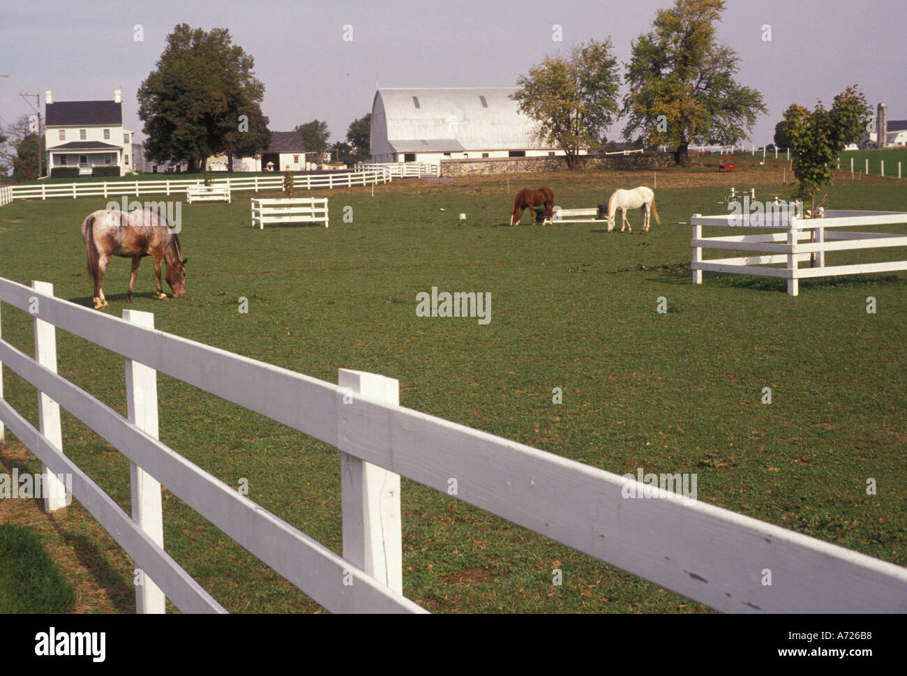 Lancaster pa horses hi-res stock photography and images - Alamy