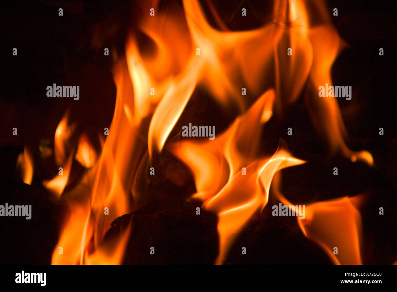 flames from a coal fire in a fire place Stock Photo - Alamy