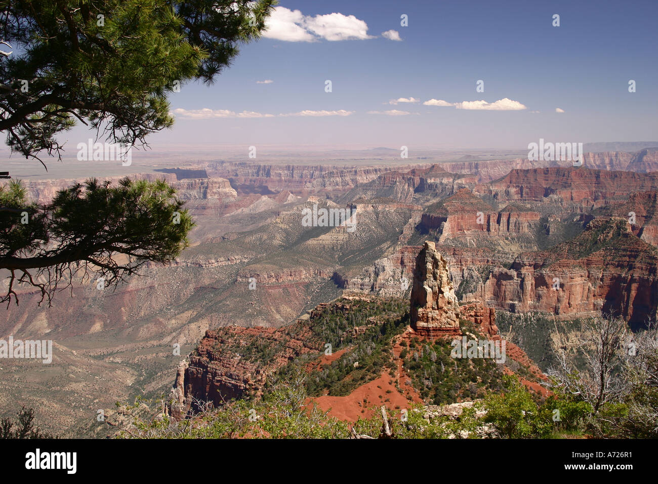 View of Grand Canyon north rim from Point Imperial Stock Photo - Alamy