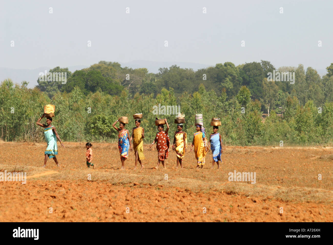 Paraja and Mali tribal women carry their pots to the weekly market in ...
