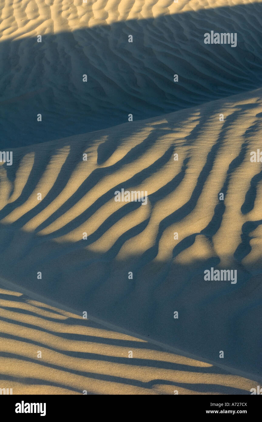 Magdalena bay baja dunes hi-res stock photography and images - Alamy