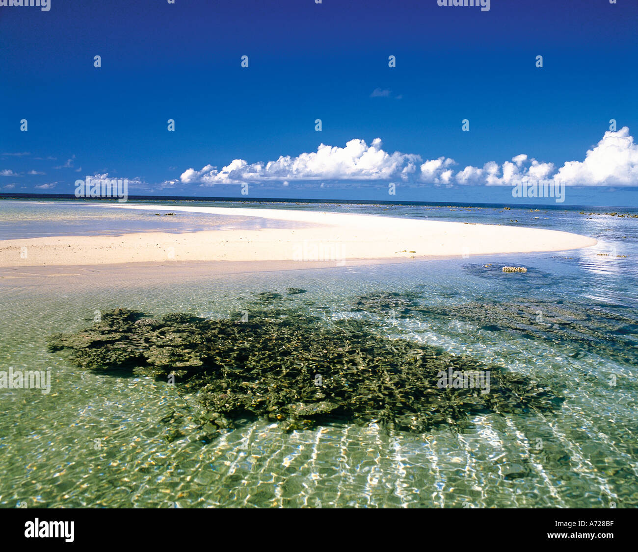 Coral watercolors hi-res stock photography and images - Alamy