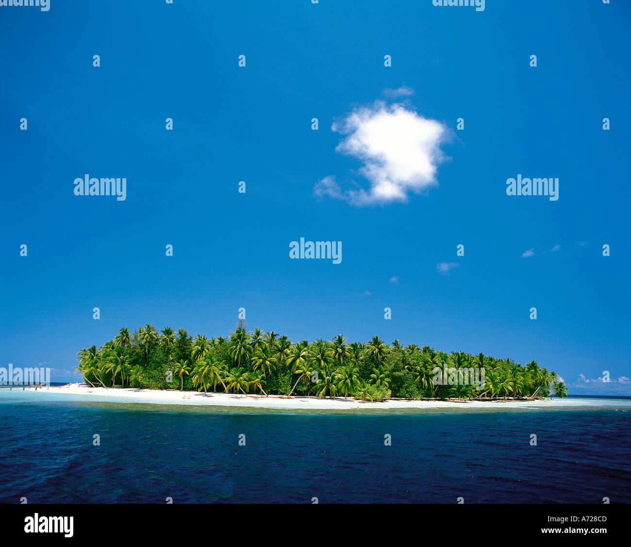 Ihuru Island Resort Male Atoll Maldive Islands Indian Ocean Stock Photo ...