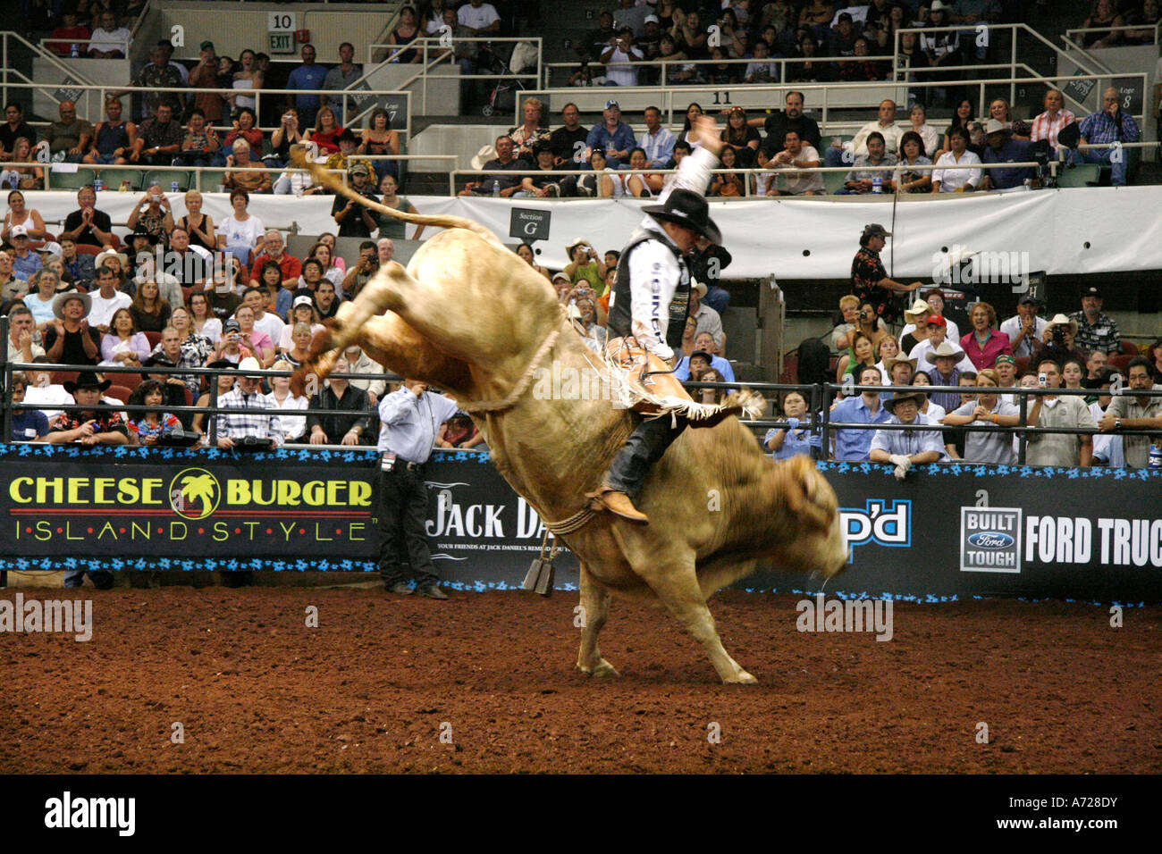 Ross Coleman on his winning ride at the PBR Professional Bull Riders ...