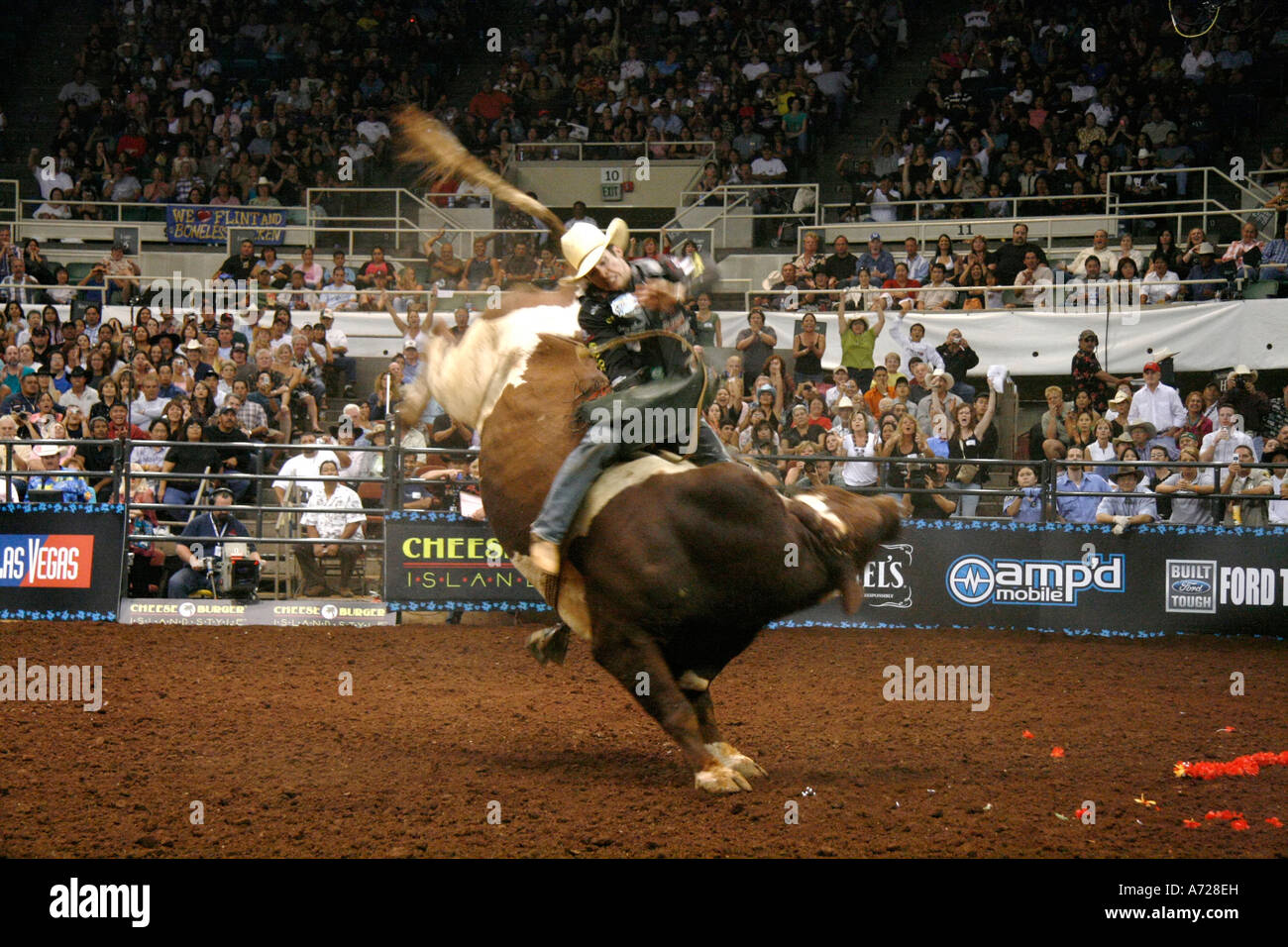 Professional bull rider Luke Snyder riding a bucking bull Stock Photo ...