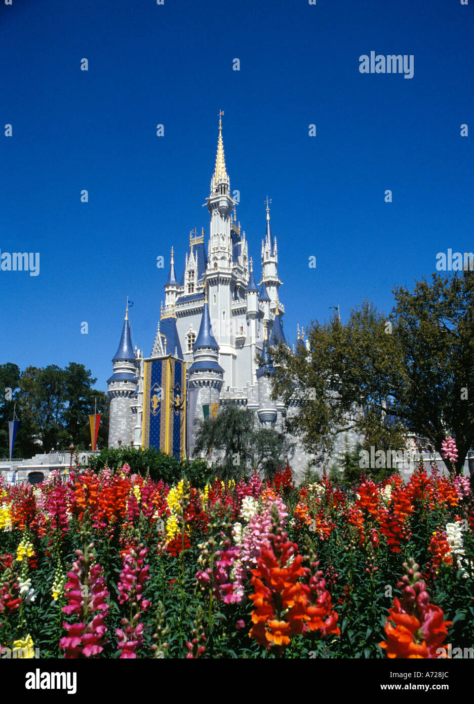 Disneyland Magic Kingdom Castle Stock Photo - Alamy
