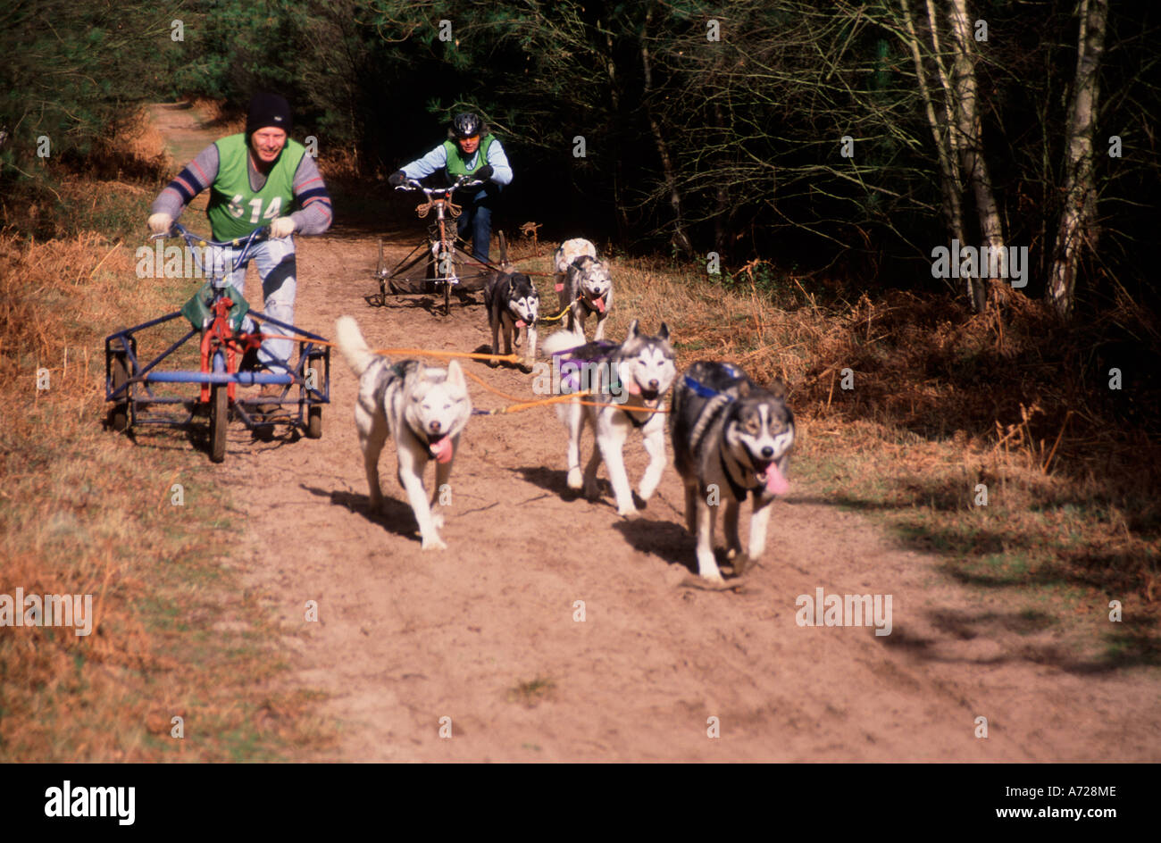 Suffolk racing hi-res stock photography and images - Alamy