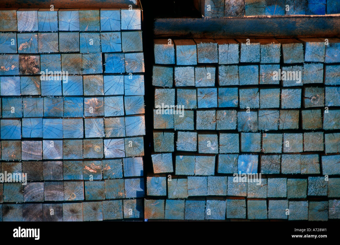 Patterns formed by the ends of blue pieces of dyed wood in a pile Stock ...