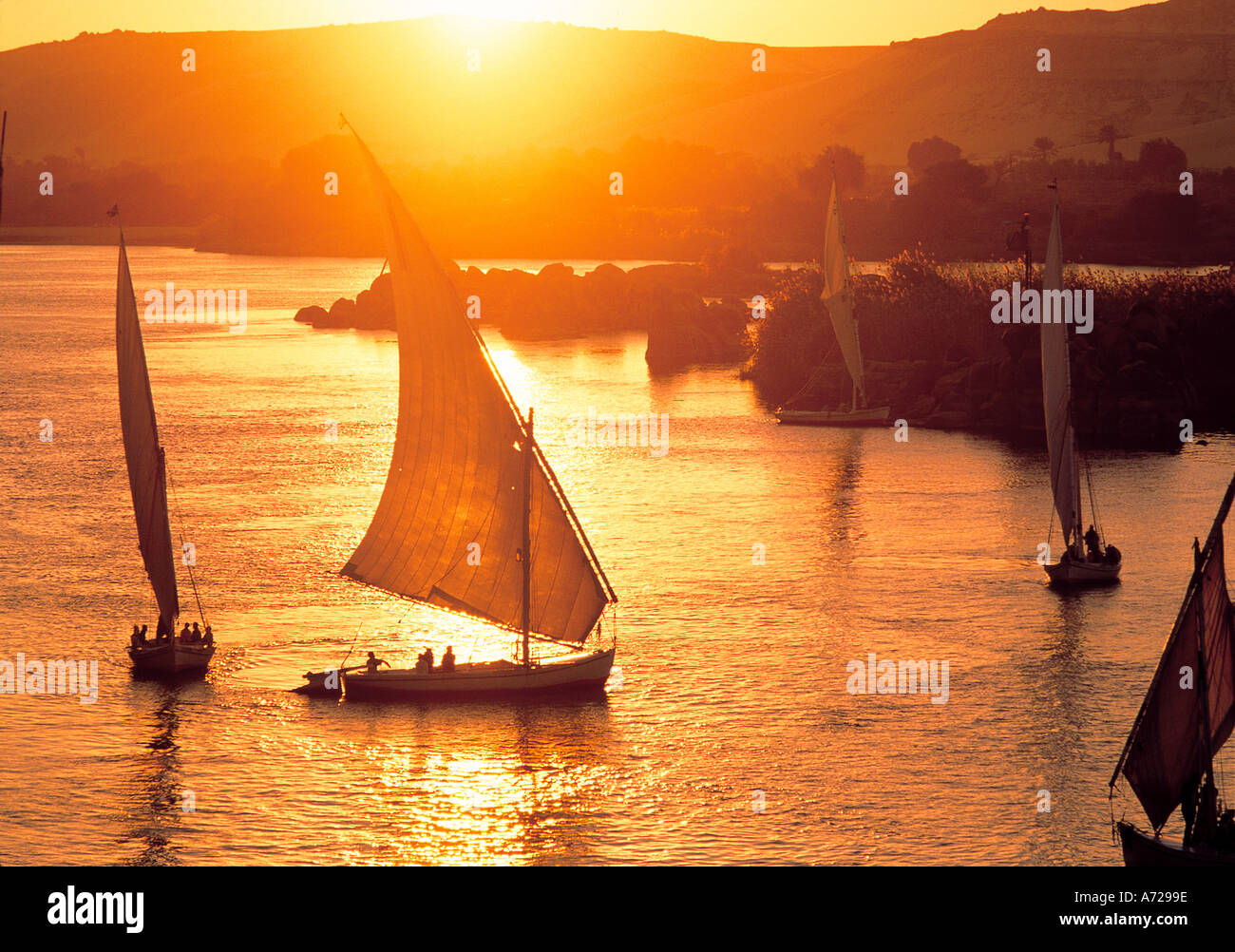 Feluccas on Nile River at Aswan Egypt Stock Photo - Alamy