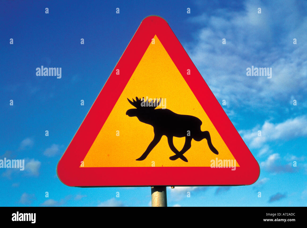 Road sign warning of Moose in Sweden Scandinavia Stock Photo - Alamy