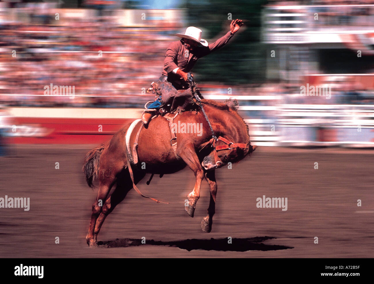 Cowboy riding bucking horse hi-res stock photography and images - Alamy