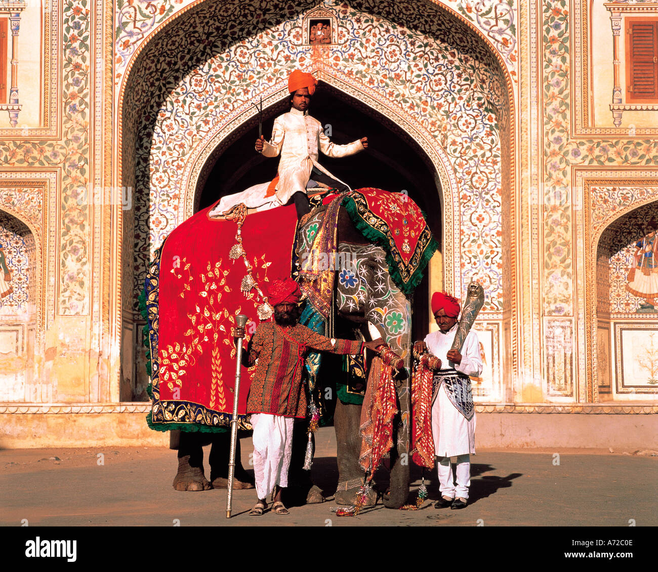 Elephant in Jaipur Rajasthan India Stock Photo - Alamy