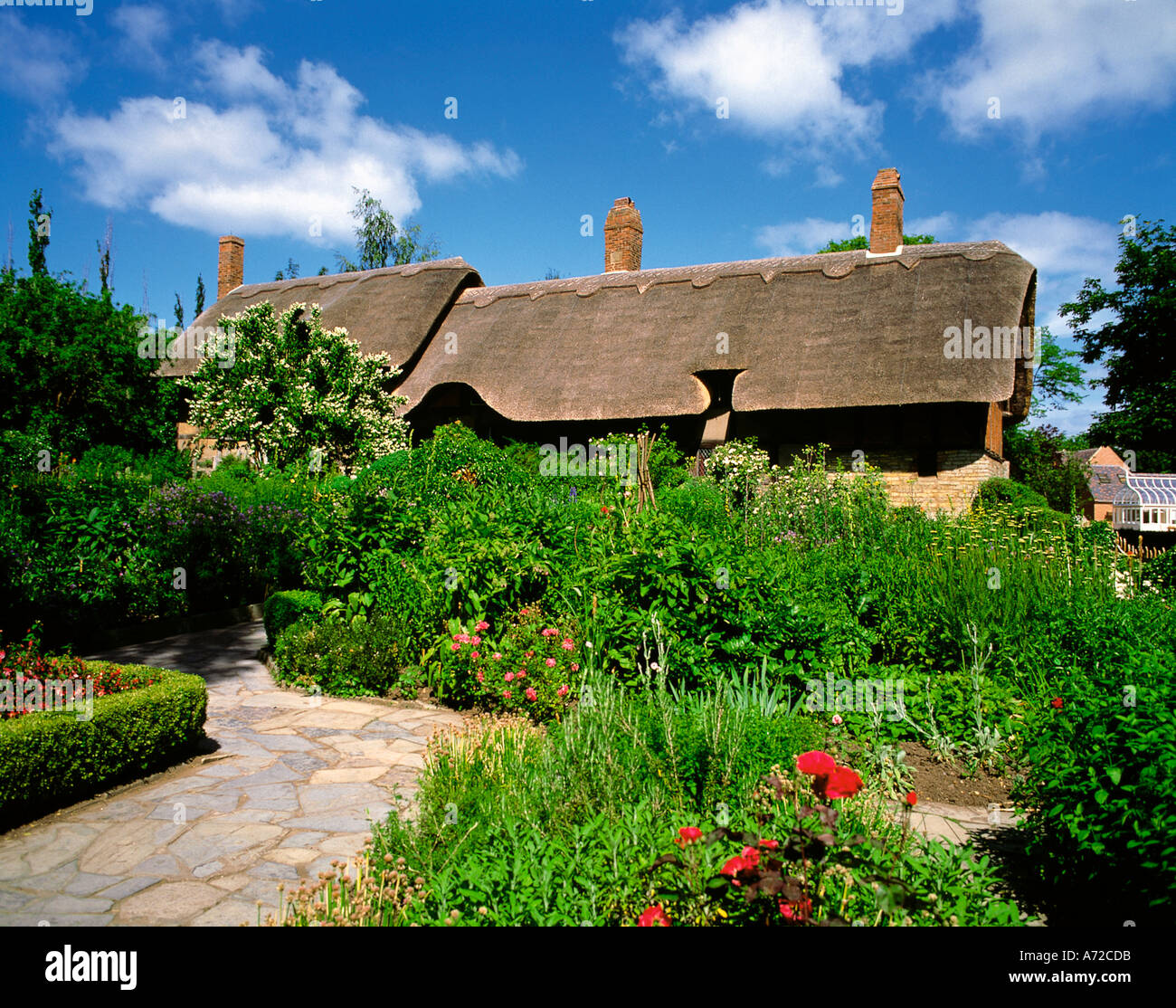Shakespeare Wife Ann Hathaway Cottage with Thatched Roof in Stratford ...