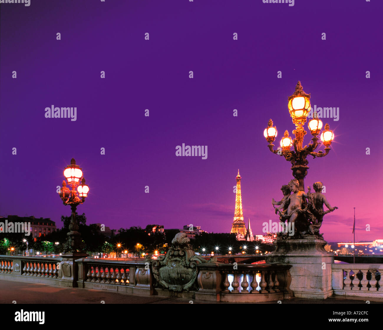 Alexander 3rd Bridge and Eiffel Tower at night Paris France Stock Photo ...